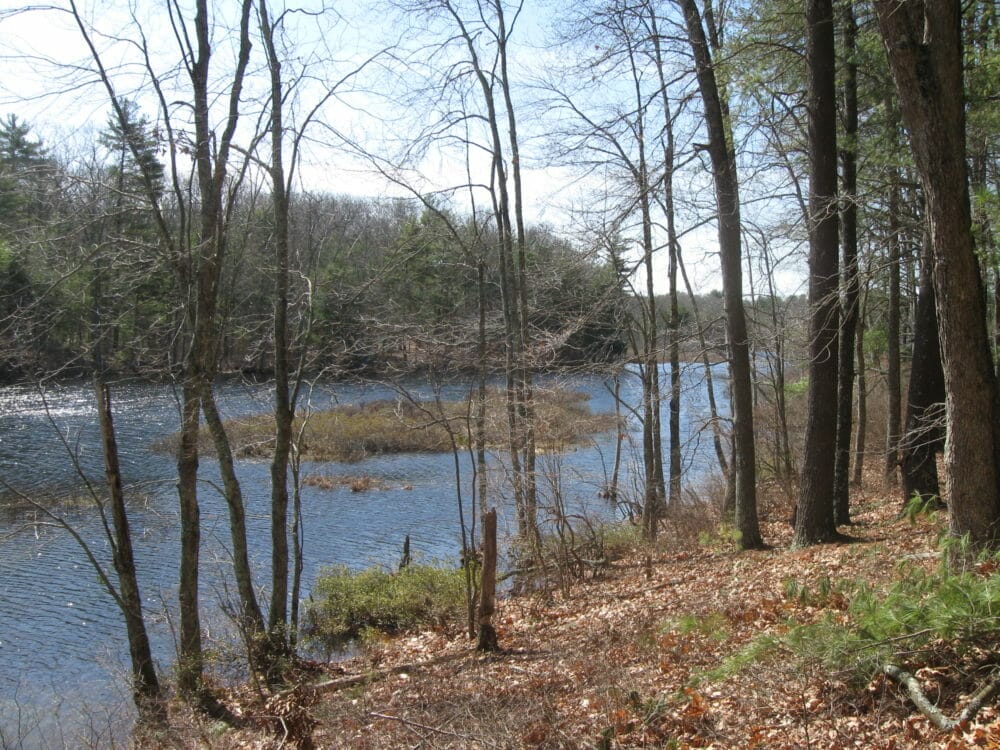 Long Pond – The Wyndham Land Trust