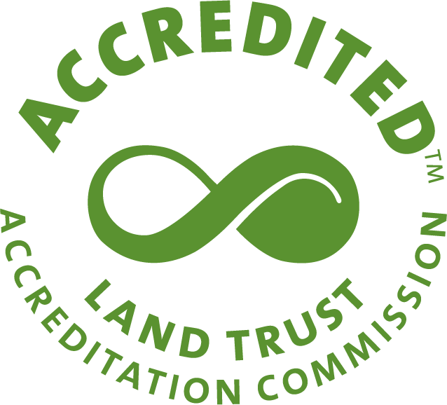 WLT Announces Merger - The Wyndham Land Trust